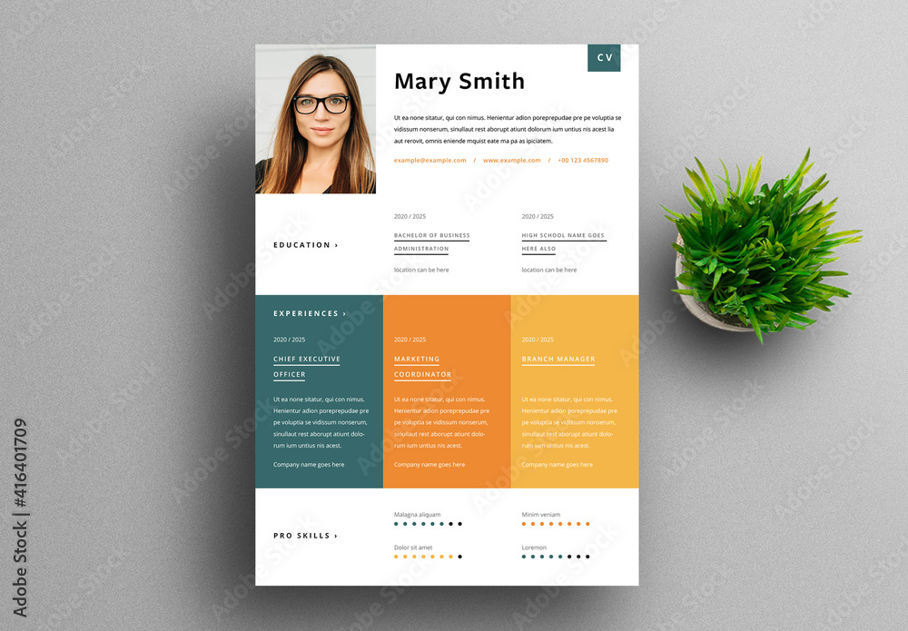 Modern Resume Layout with Organized Columns Stock Template | Adobe Stock