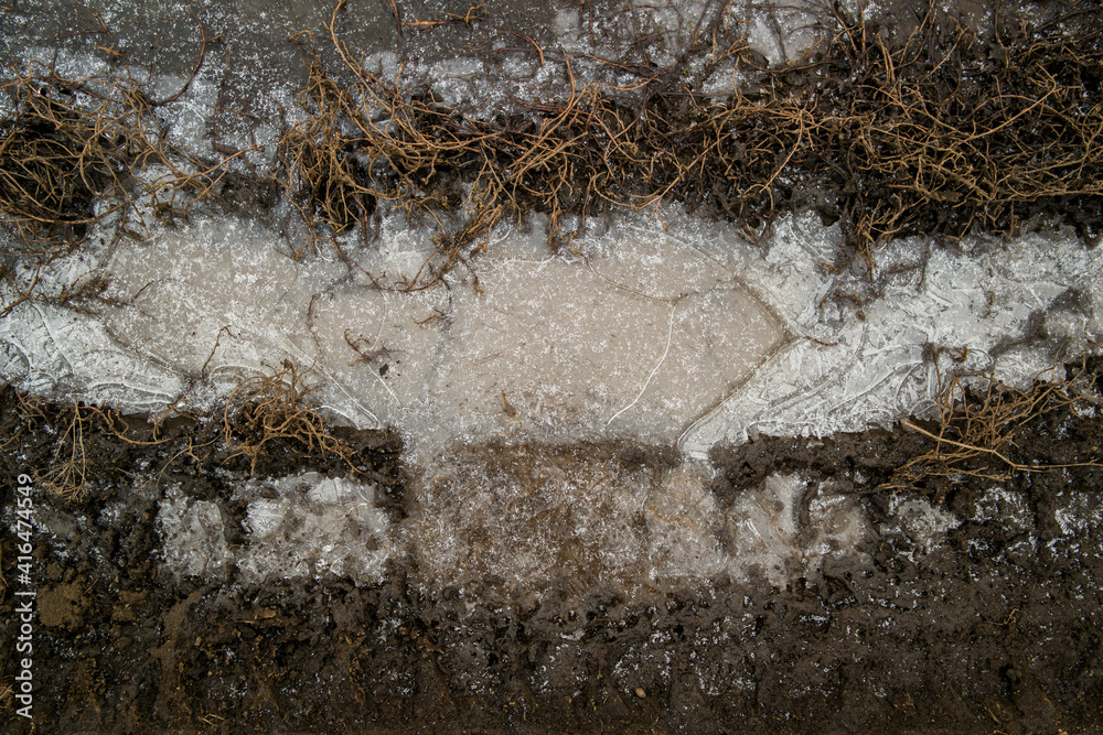 Wheel tracks on the soil. Tire tracks on the ground. Soil texture ...