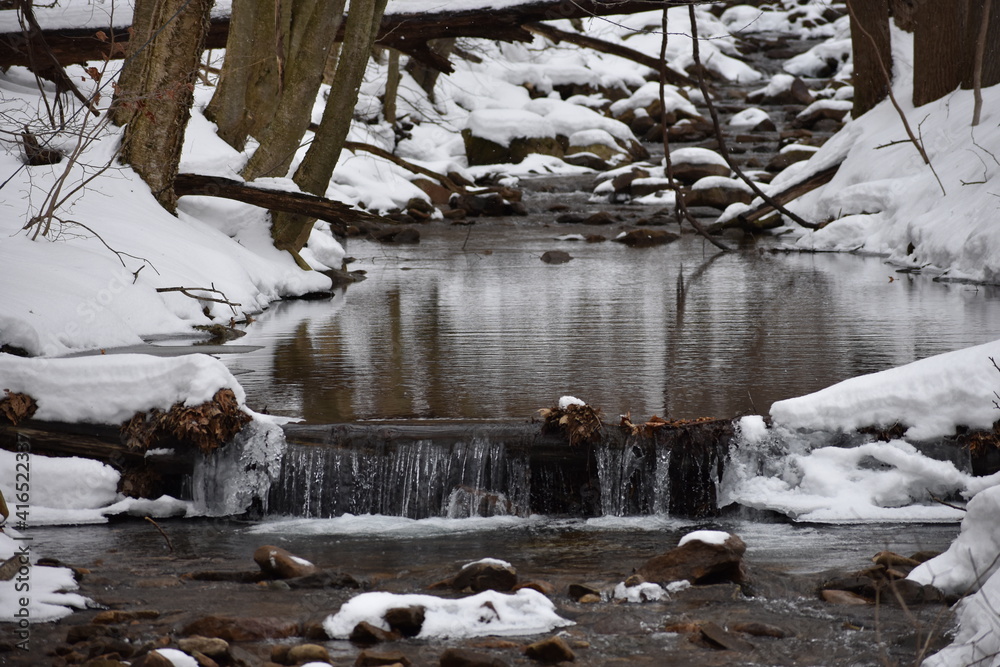 Winter Mountain Stream
