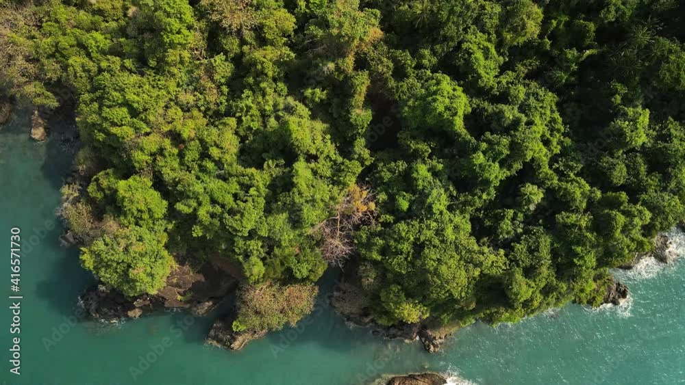 Bird view of drone passing over Palm trees, drone UAV capturing top ...