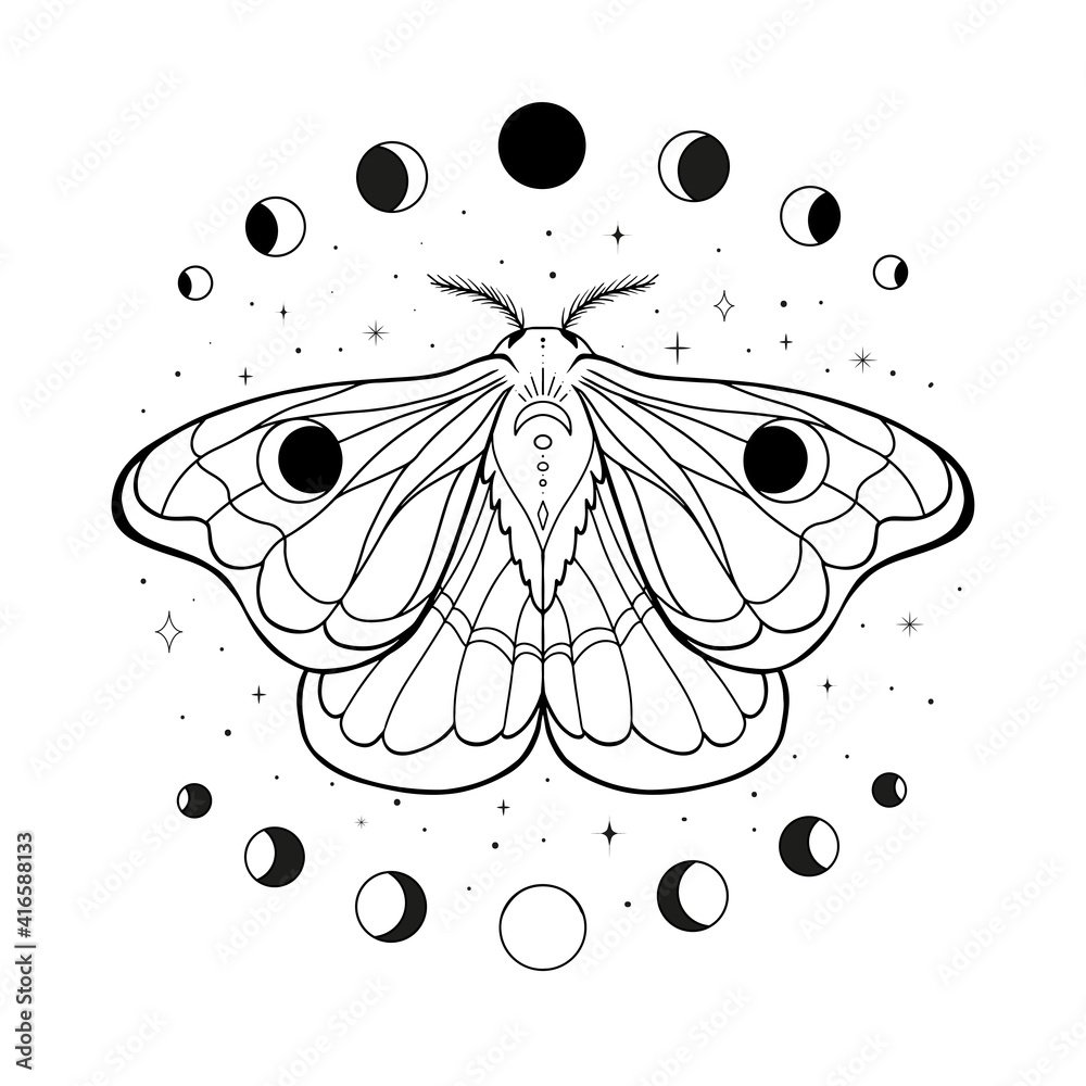 Mystic Moth With Moon Phases Vector Illustration Stock Vector | Adobe Stock