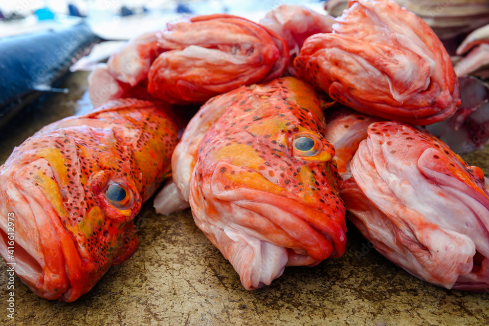 Red fish stacked for preparation at a fish market in Puerto Ayora in ...
