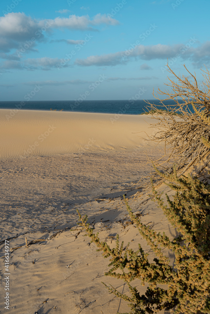 Desert landscapes different parts of the world Stock Photo | Adobe Stock