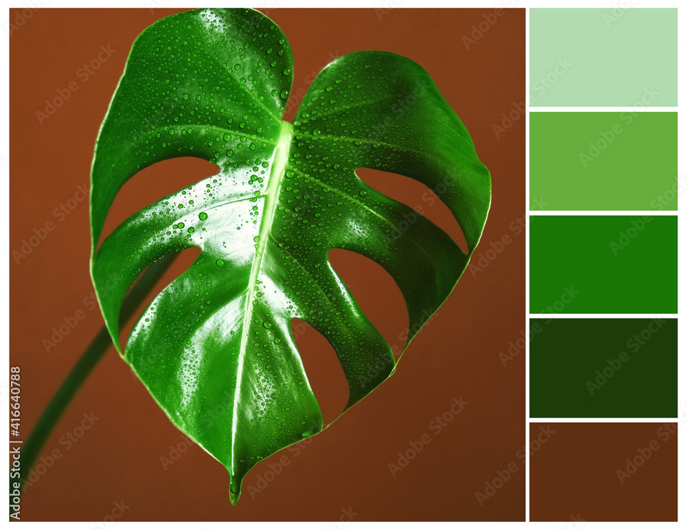 Green and brown color palette. Spring, summer color swatch. Harmonious ...
