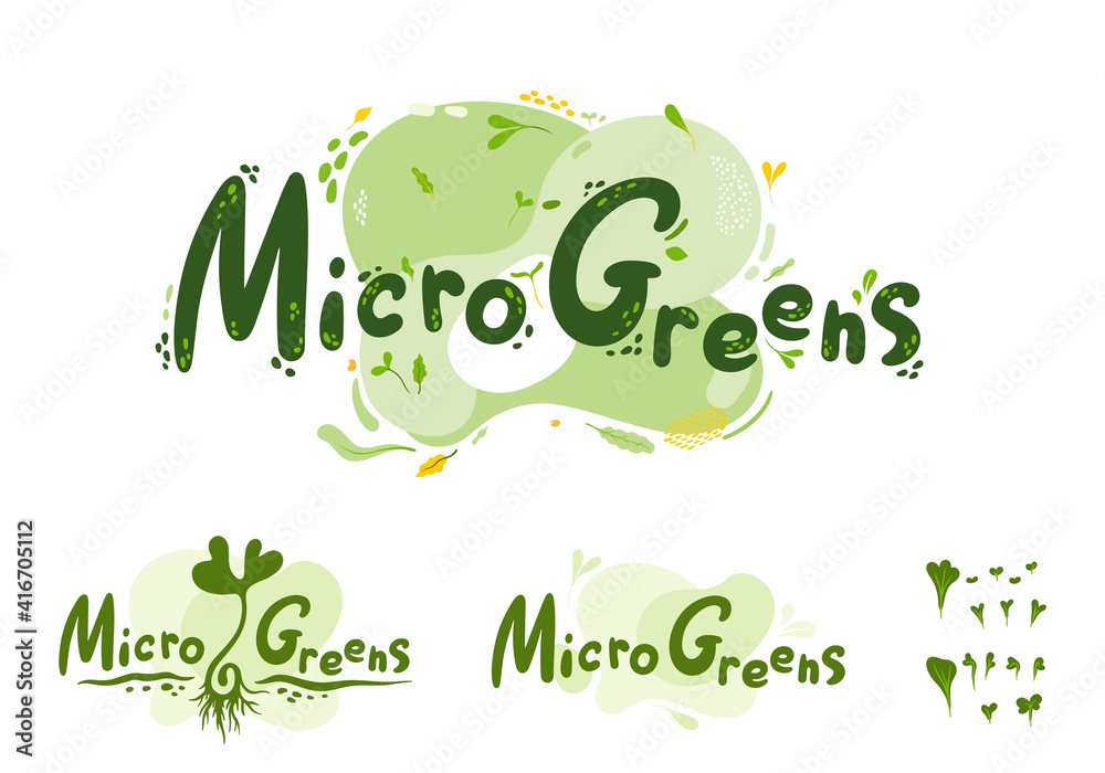 Microgreens or baby greens , lettering, logo Stock Vector | Adobe Stock