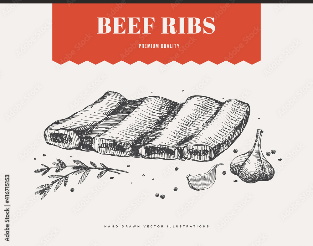 Beef ribs vector illustration. Hand-drawn piece of meat on a light ...