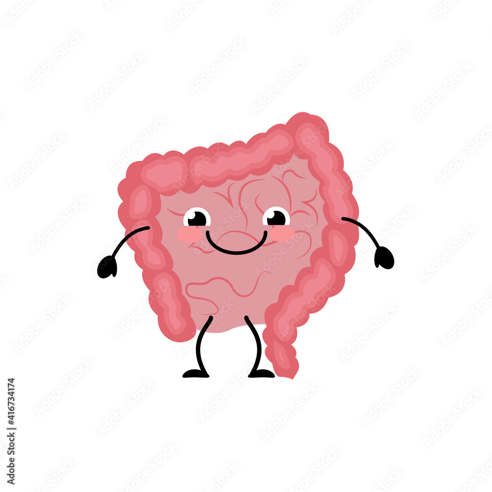 Happy smiling cute intestines organ character in a flat cartoon style ...
