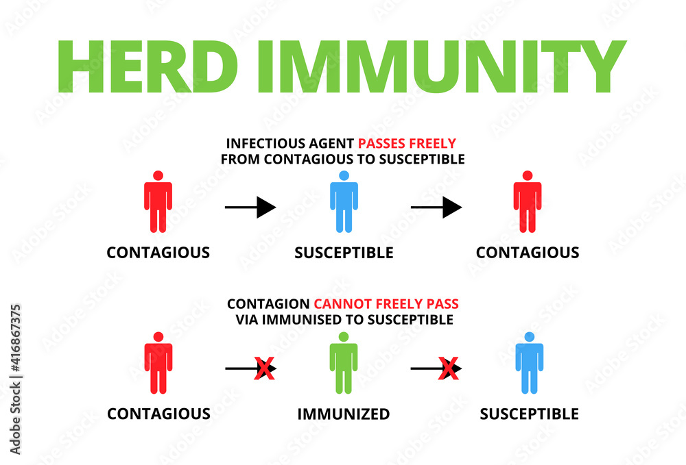 Group of people with Herd immunity text.Concept of herd immunity or a ...