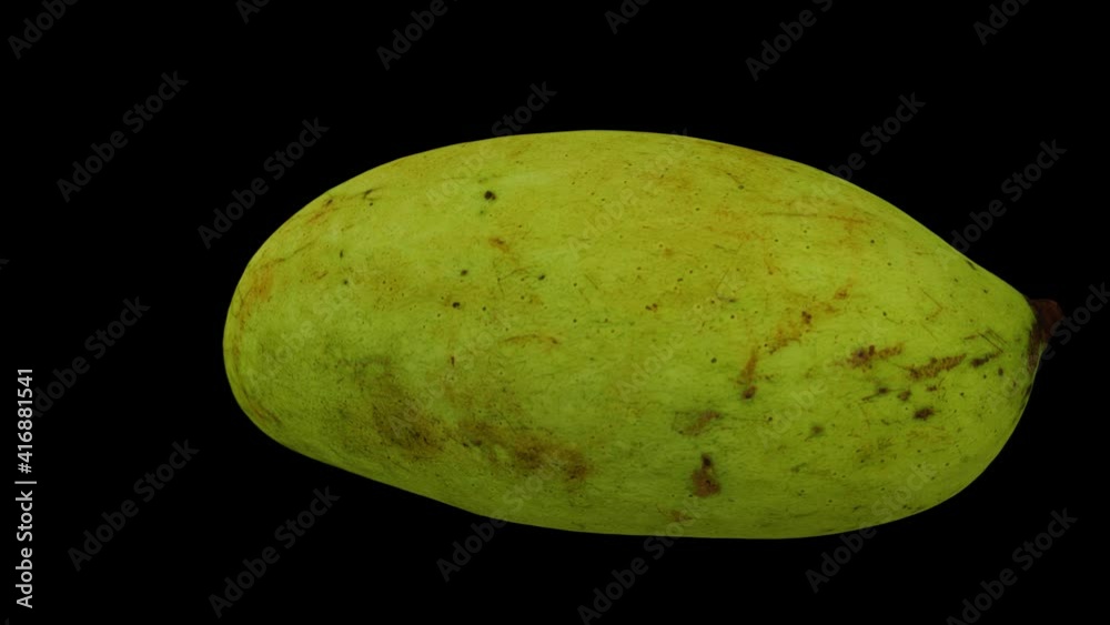 Realistic render of a rotating Green (Unripe) Ivory Mango on black ...