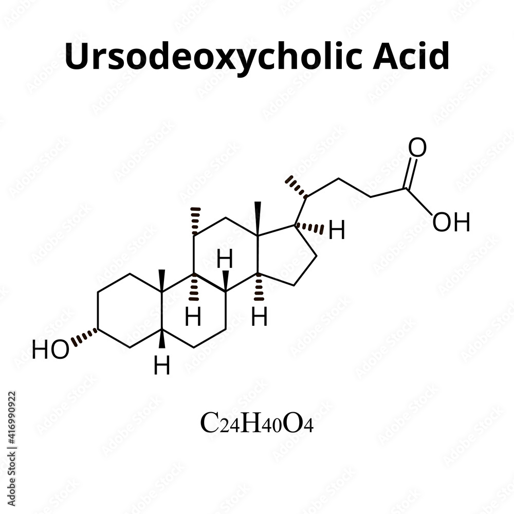 Ursodeoxycholic acid. Chemical molecular formula of bile acids. Vector ...