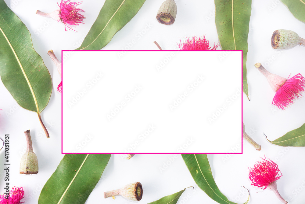 Australian themed border background of scattered gum leaves, gum nuts ...