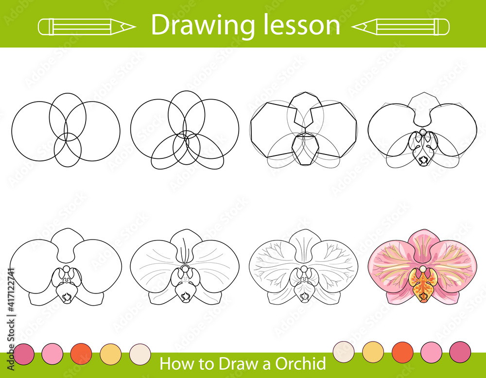 Drawing lesson for children. How draw a orchid. Step by step repeats ...