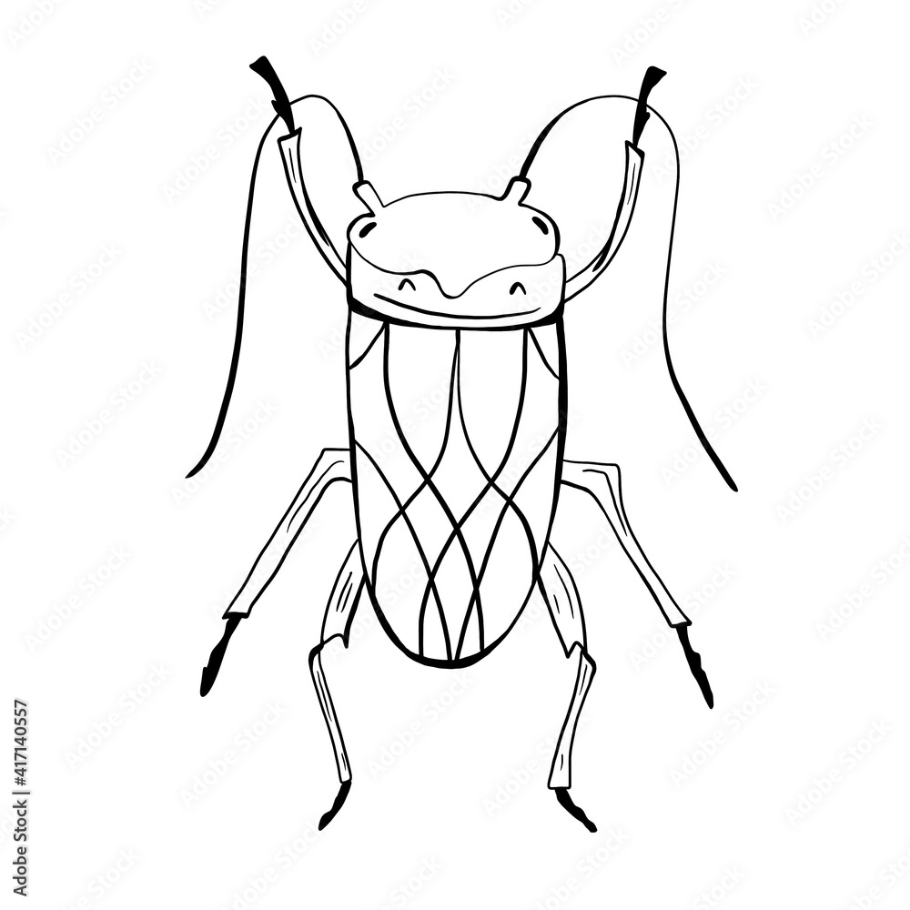 Beetle, bug, roach, insect simple drawing illustration. Cartoon hand ...