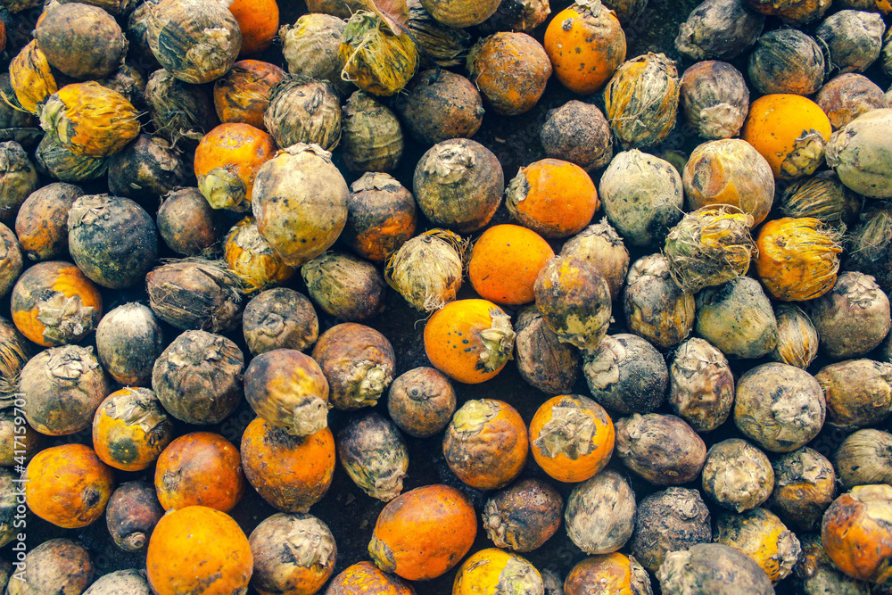 supari Stock Photo | Adobe Stock