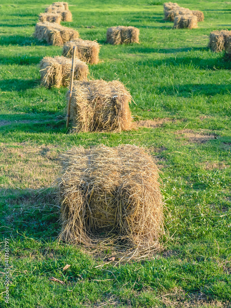 Seats and tables made from straw bales for event and party laid on lawn ...