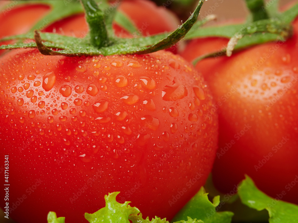 Fresh farm organic tomatoes and salad (lola rossa and lola bianca)on a ...