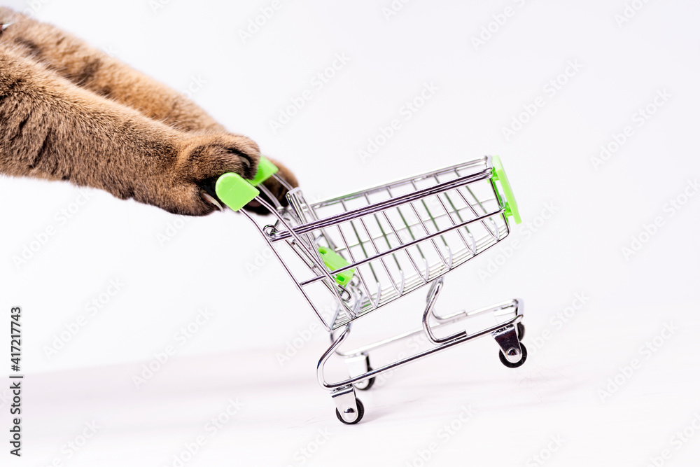 Cat paws pushing empty shopping cart on white background, shopping ...
