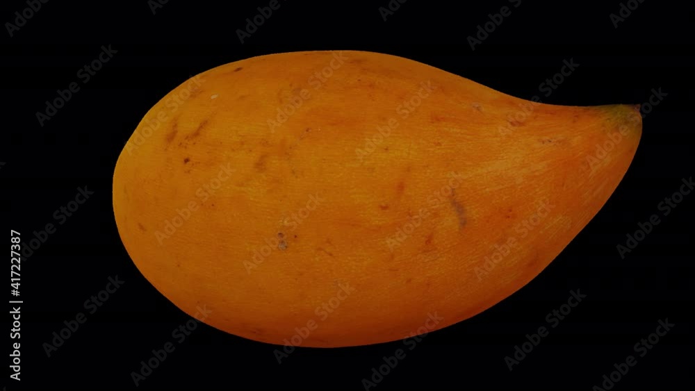 Vidéo Stock Realistic render of a spinning Canistel (Eggfruit, Tisa) on ...