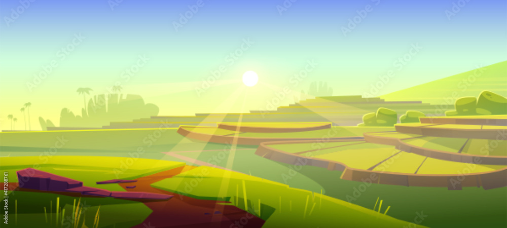 Rice field terraces, green paddy at morning. Vector cartoon ...