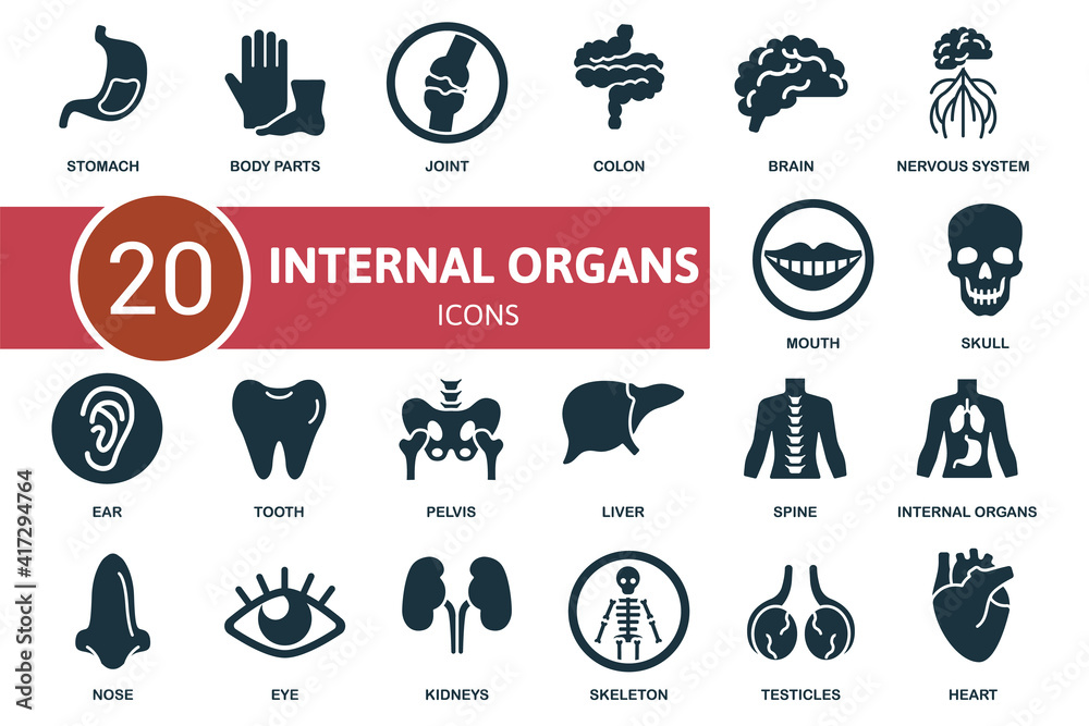 Internal Organs icon set. Contains editable icons internal organs theme ...