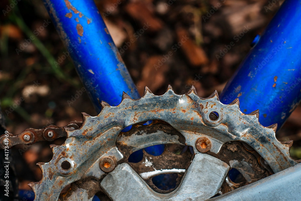 Sprocket for shifting gear on bicycle rear wheel. Bicycle repair ...