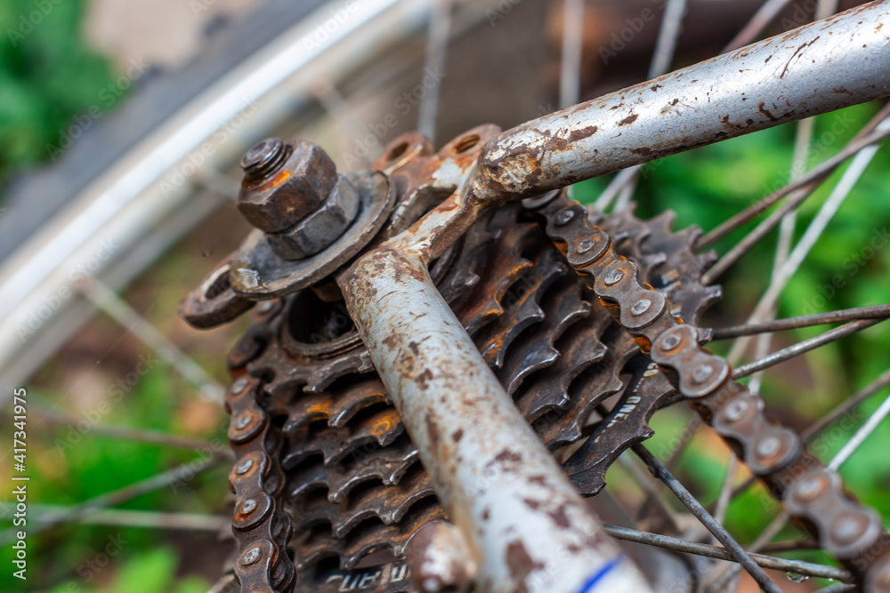 Sprocket for shifting gear on bicycle rear wheel. Bicycle repair ...