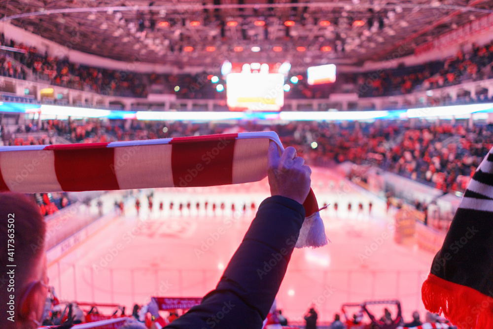 Hockey Fans In Stands
