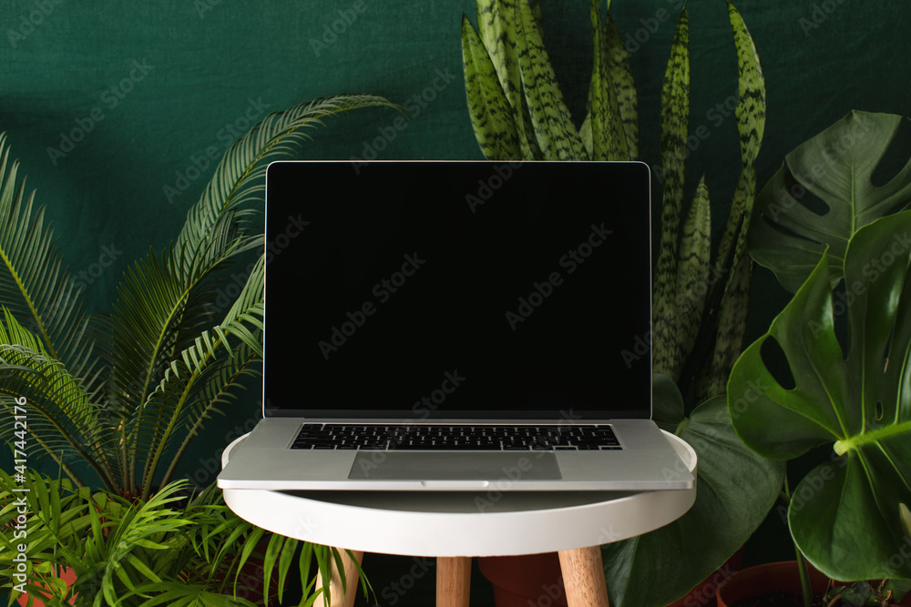 Working at home garden, laptop surrounded with green leafy potted ...