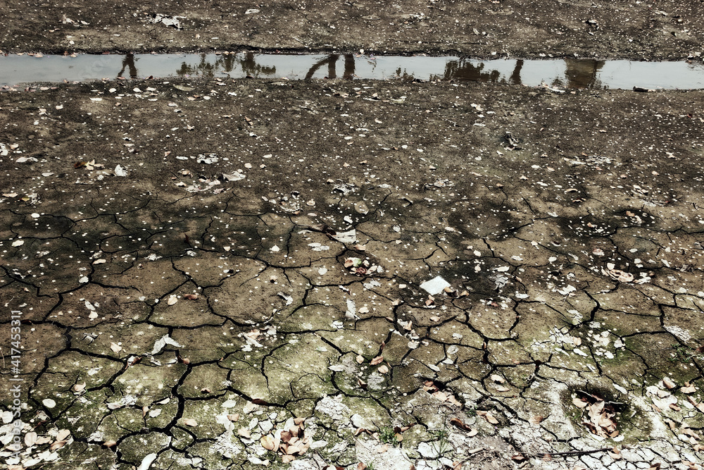 Poisoned earth. The cracked muddy ground is a poisonous stream ...