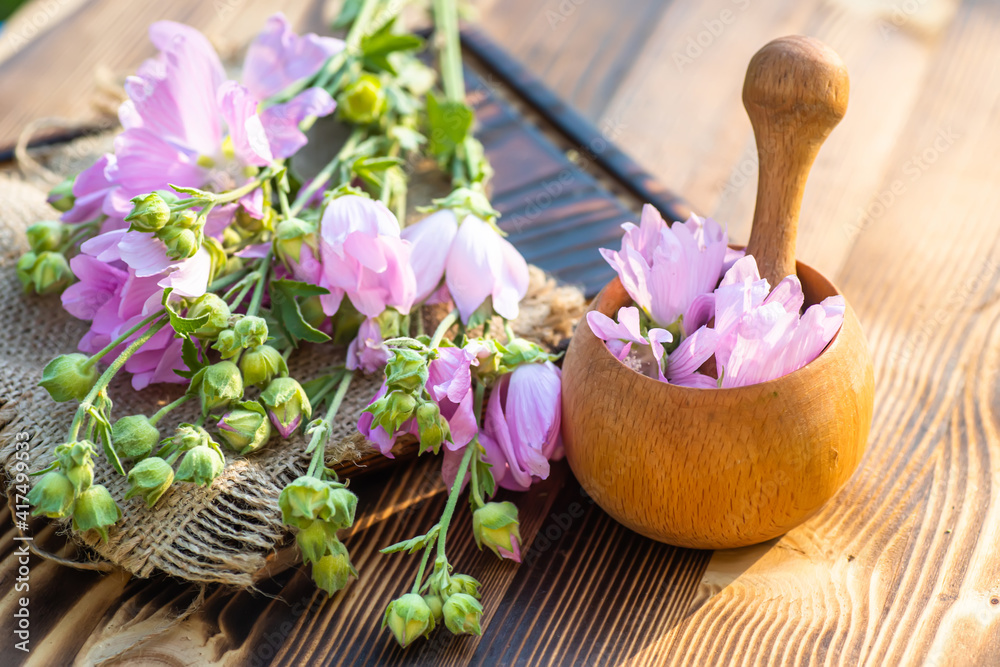 Malva alcea , greater musk-mallow, cut-leaved mallow, vervain mallow or ...