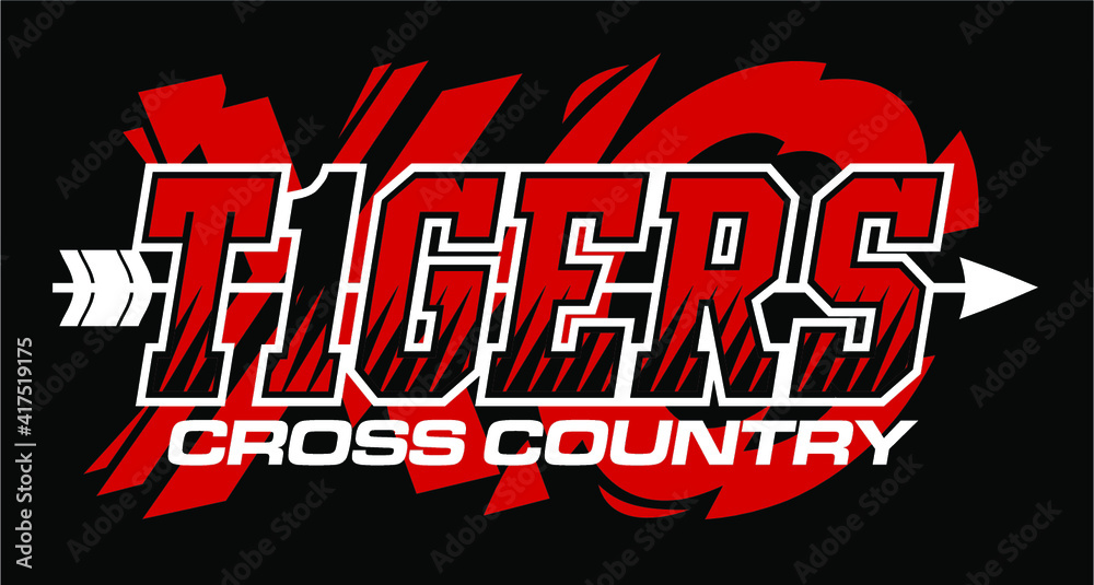 Cross Country Arrow Vector