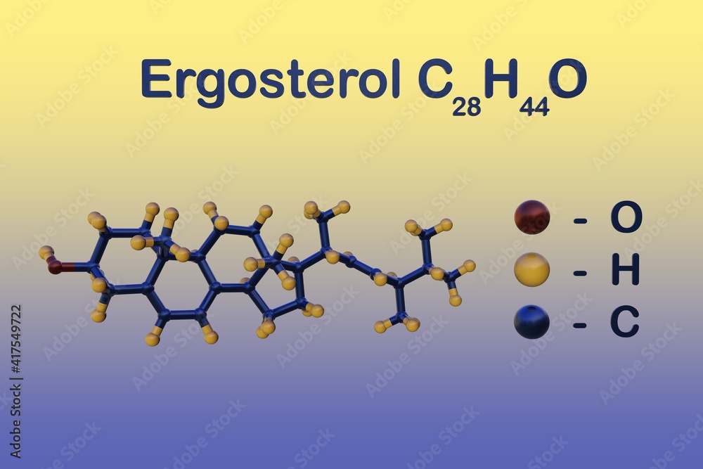 Structural chemical formula and molecular model of ergosterol or ...