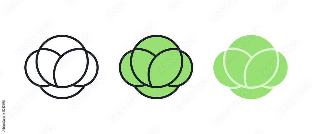 Cabbage icon. Linear color icon, contour, shape, outline isolated on ...