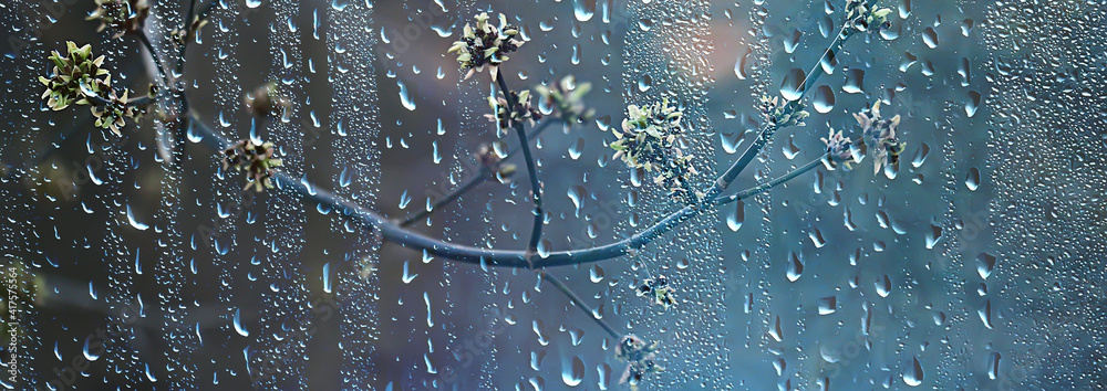 Rainy Season Wallpapers For Facebook Timeline
