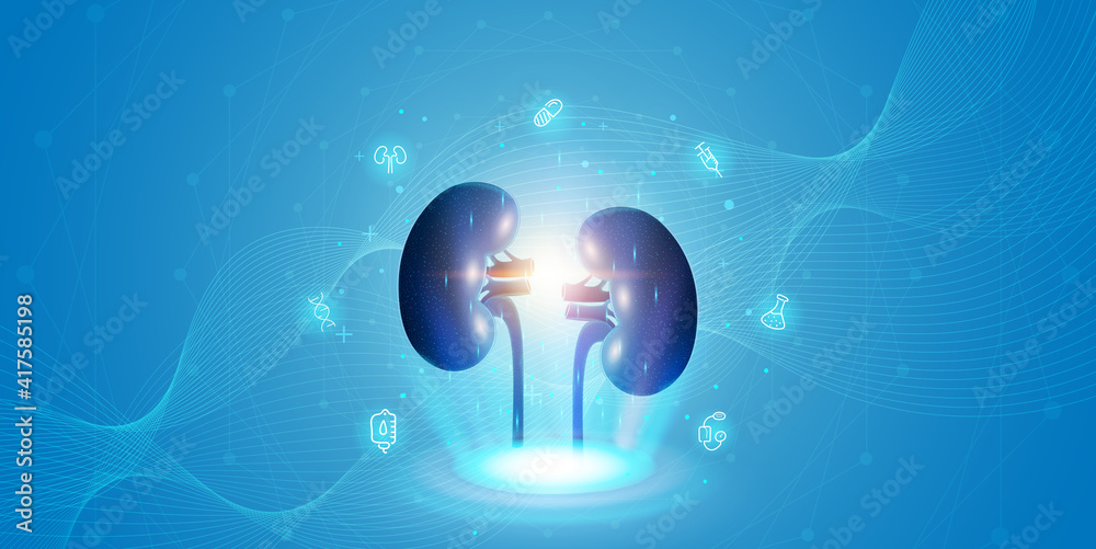 Human kidney and treatment with technology innovation. A concept ...