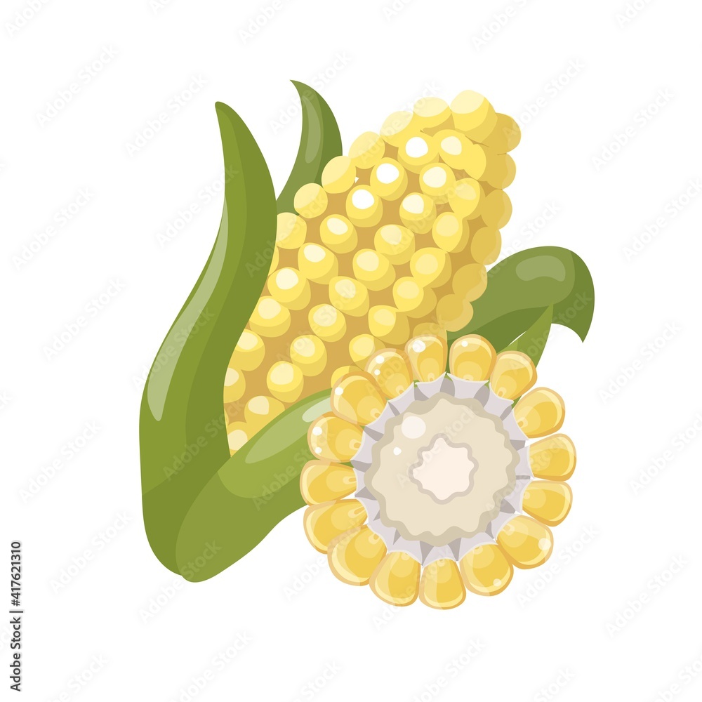 Cartoon corn isolated on white background. Whole and slice. Vector ...