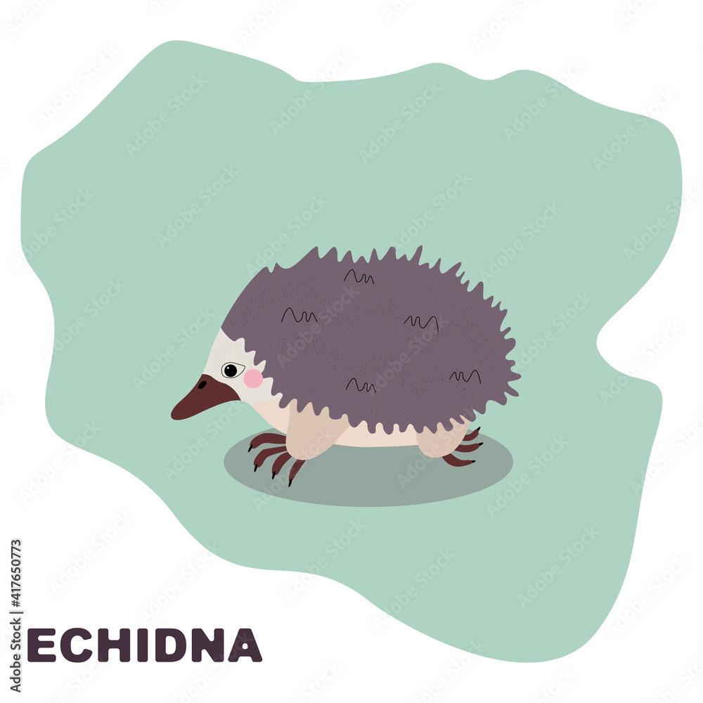 Australian echidna clipart. Vector image to be used as a poster or ...