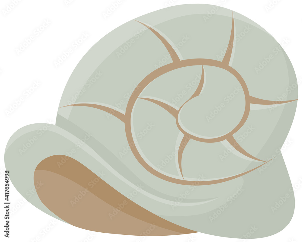 Shell isolated on white background. Chitin structure protecting snail ...