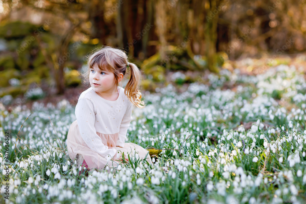 Little pretty toddler girl in a clearing of snowdrops. A child walks in ...