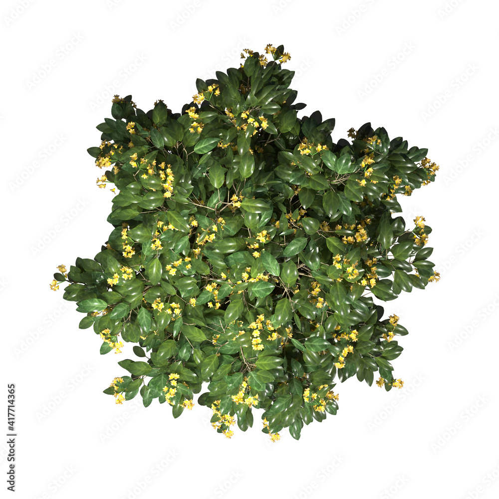 VEGETATION TOP VIEW - TREES AND BUSHES IN PLAN Stock Illustration ...