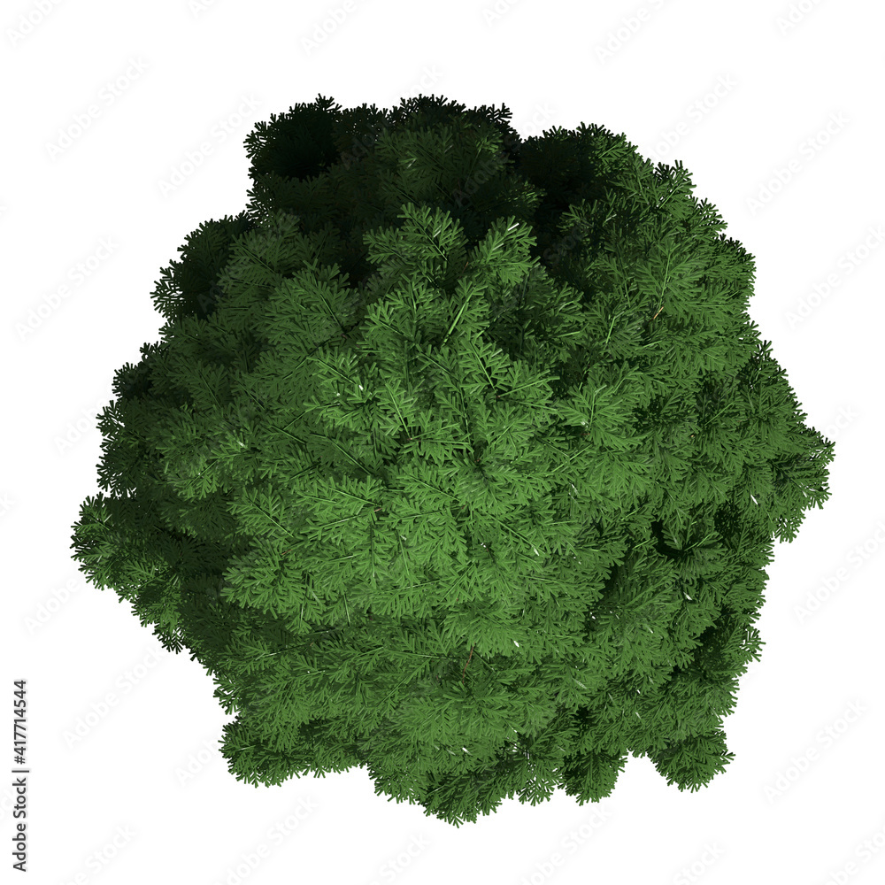 VEGETATION TOP VIEW - TREES AND BUSHES IN PLAN Stock Illustration ...