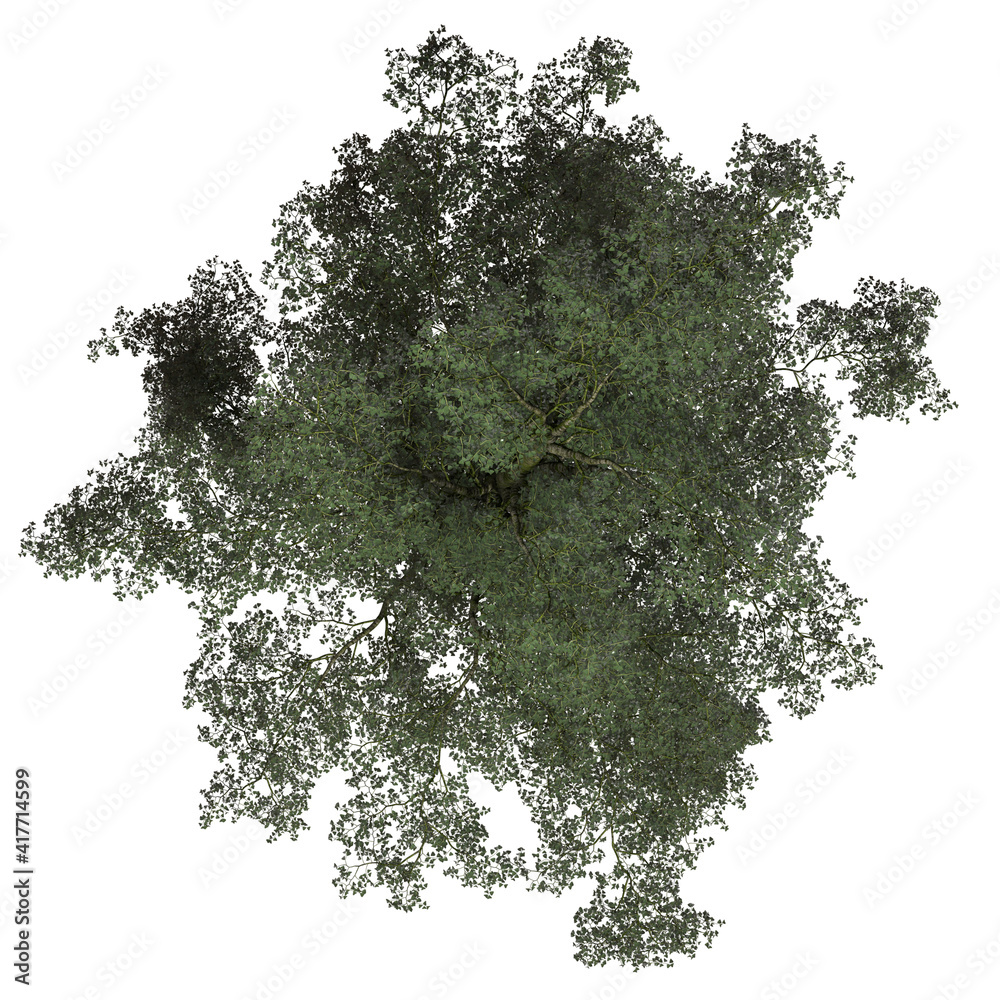 VEGETATION TOP VIEW - TREES AND BUSHES IN PLAN Stock Illustration ...