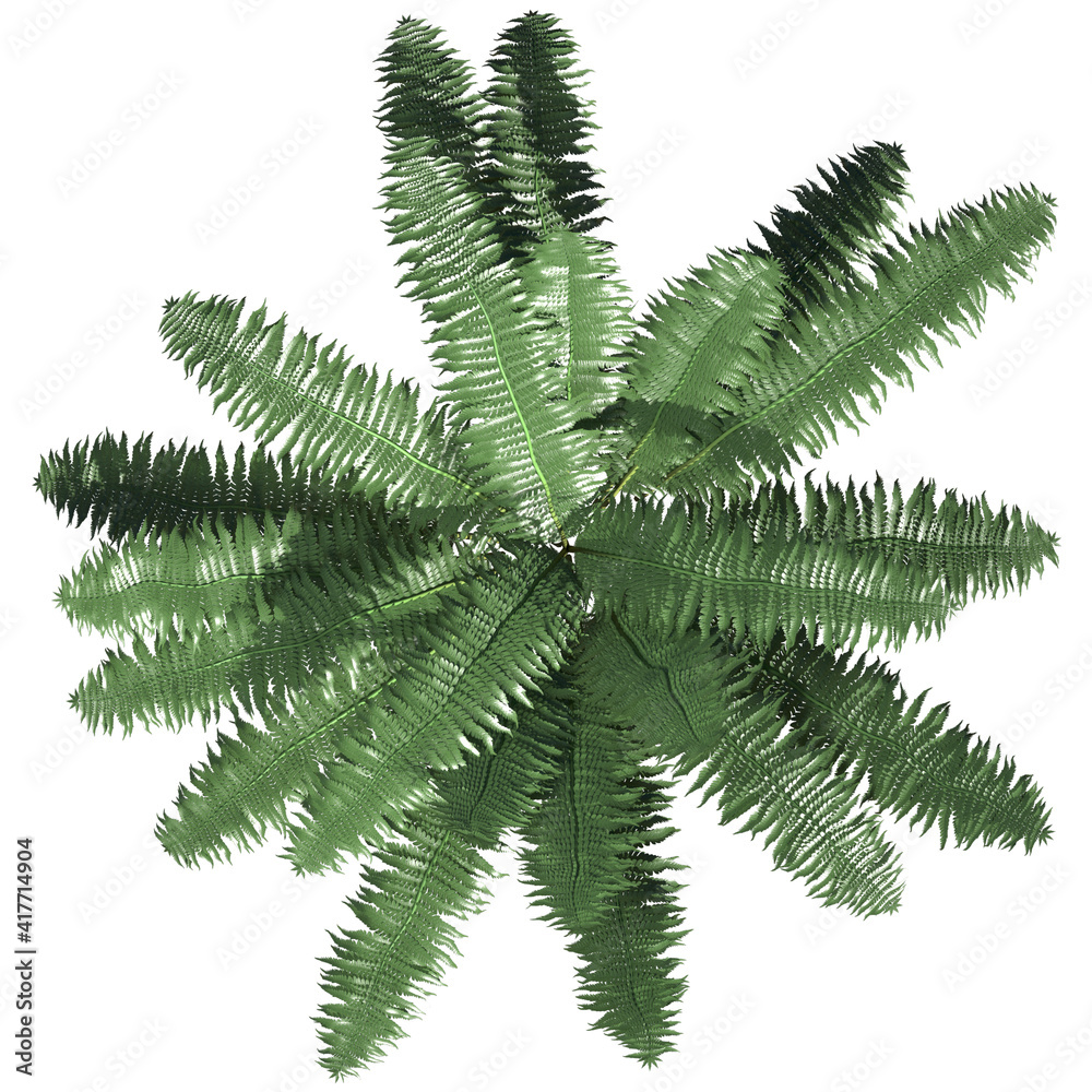 VEGETATION TOP VIEW - TREES AND BUSHES IN PLAN Stock Illustration ...
