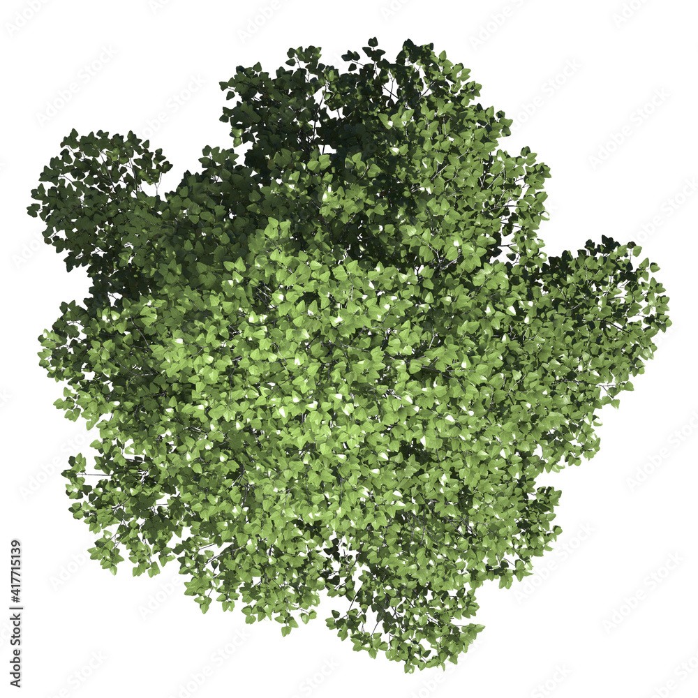 VEGETATION TOP VIEW - TREES AND BUSHES IN PLAN Stock Illustration ...