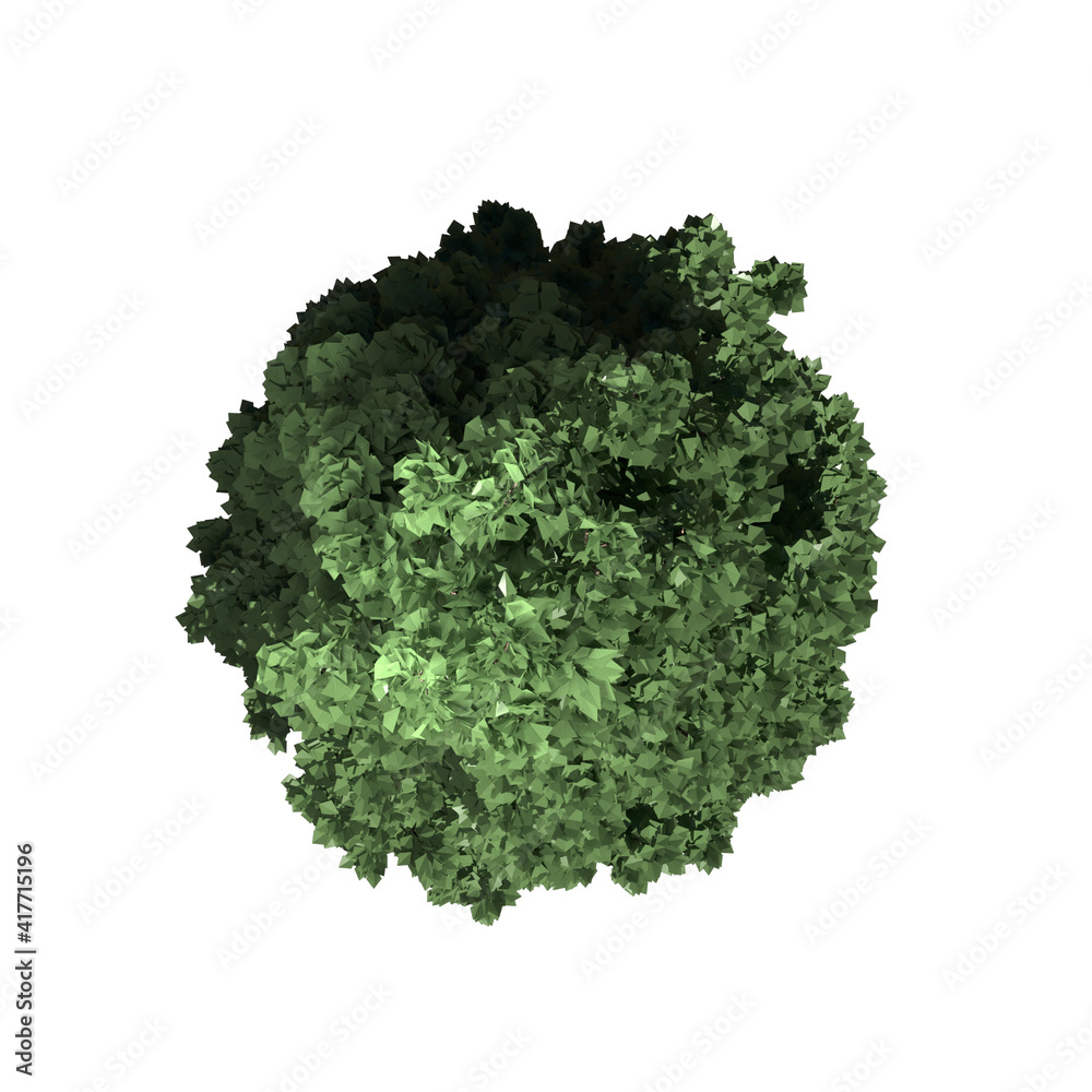 VEGETATION TOP VIEW - TREES AND BUSHES IN PLAN Stock Illustration ...