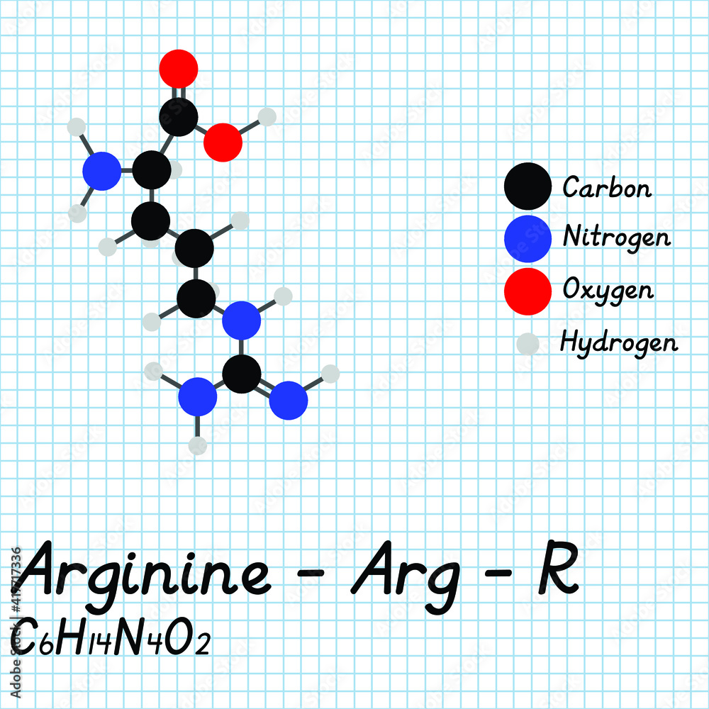 Arginine - Arg - R - Amino Acid molecular formula and chemical ...