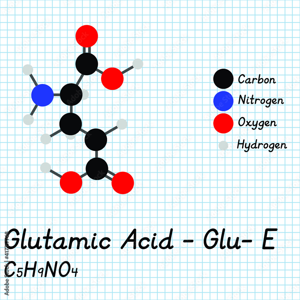 Glutamic acid - Glu - E - Amino Acid molecular formula and chemical ...