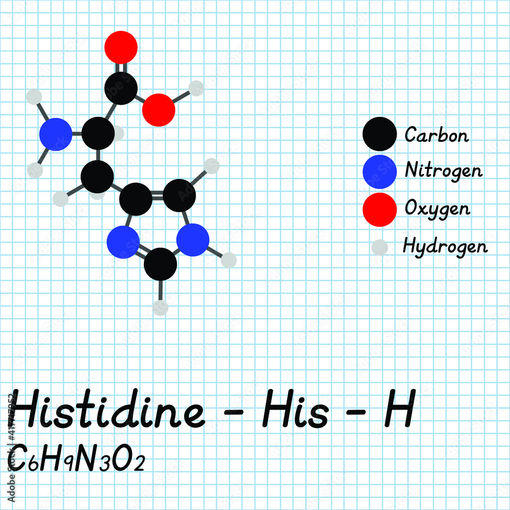Histidine - His - H - Amino Acid molecular formula and chemical ...