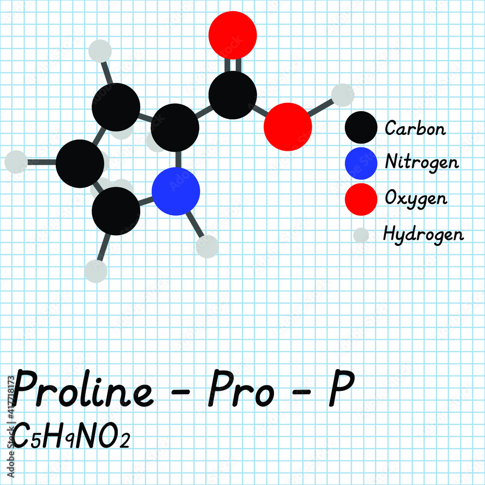 Proline - Pro - P - Amino Acid molecular formula and chemical structure ...