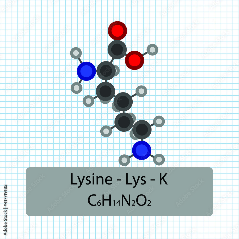 Lysine - Lys - K - Amino Acid molecular formula and chemical structure ...